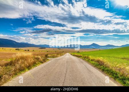 Road around fields through rural landscape in sunny summer day. Rajec ...