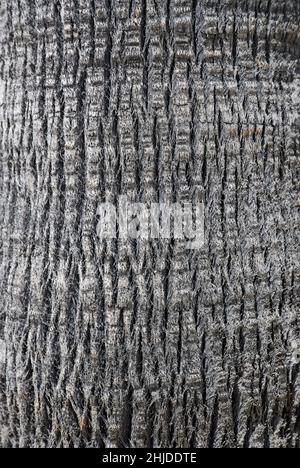 Closeup of textured grey background Stock Photo - Alamy