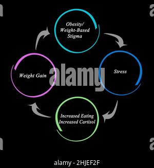Cycle of Obesity / Weight-Based Stigma Stock Photo - Alamy