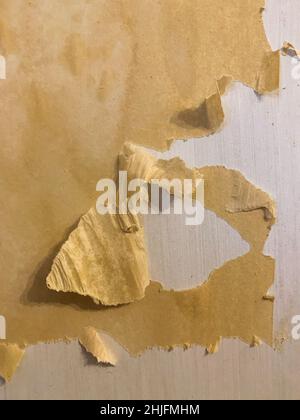 Stripping the walls, Homework, Bron, France Stock Photo - Alamy