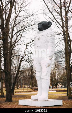 Monkey Astronaut In A Space Suit With A Helmet Stands In The Desert On ...