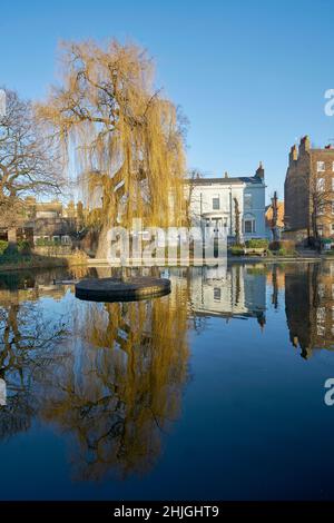 clapton pond in hackney Stock Photo - Alamy