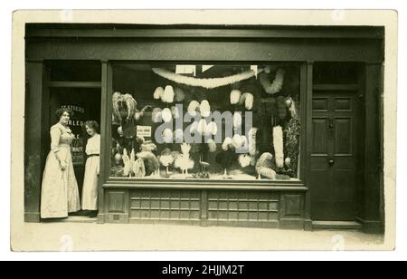 EDWARDIAN LADIES FASHIONS about 1910 Stock Photo - Alamy