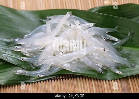 raw Shirauo (Japanese icefish Stock Photo - Alamy