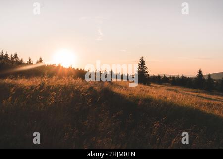 Majestic sunset captured on the top of Krkonose mountains, meadows, peace, sun, warm, good time ...