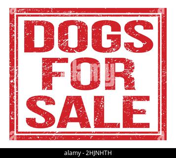 DOGS FOR SALE, words written on red stamp sign Stock Photo - Alamy