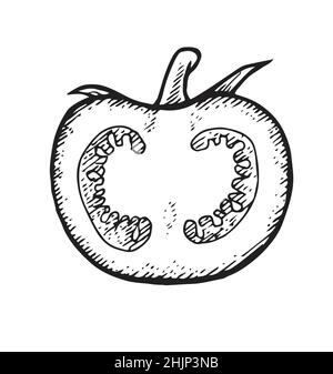 Half of tomato icon, outline style Stock Vector Image & Art - Alamy