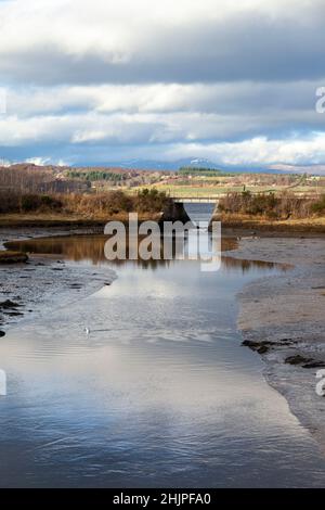 Inverness Scotland Merkinch Nature Reserve with Mayflower or Hawthorn ...
