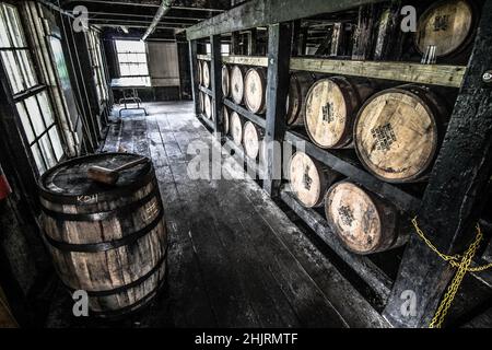 Barrels of Bourbon Aging in a Rick House at Buffalo Trace Distillery in ...