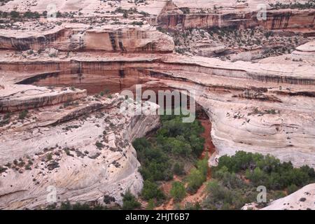 The pink canyons of the Natural Bridges National Monument in a cloudy ...