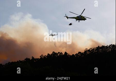 The silhouette of two firefighting helicopters flying during a forest ...