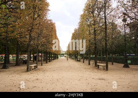 Rows of autumn trees, benches and chairs in Luxembourg gardens in ...