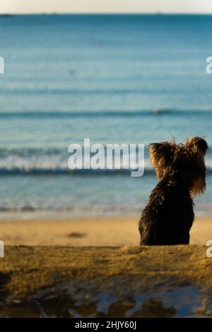 My collection of different styles and different environment Stock Photo ...