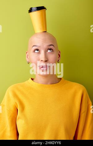 Frontal facial closeup of of the gentle looking brown Alpaca , Vicugna ...