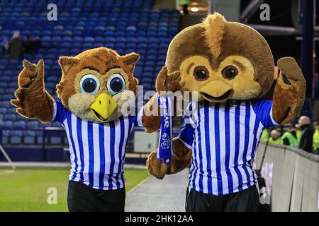 Barney Owl mascot, ,Sheffield Wednesday Stock Photo - Alamy
