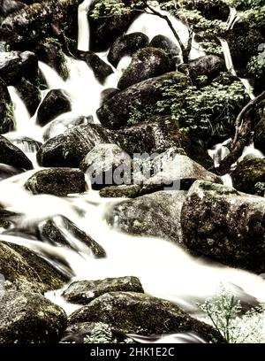 Superb Becky Falls, Water rushing through ancient woodland, natural ...