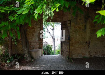 medieval secret passages hidden between walls and nature in tuscany ...
