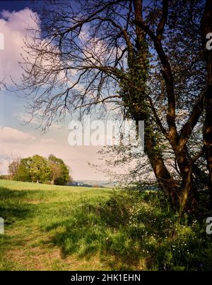 Moody landscape expressive of peacefulness and calm, the pallative ...