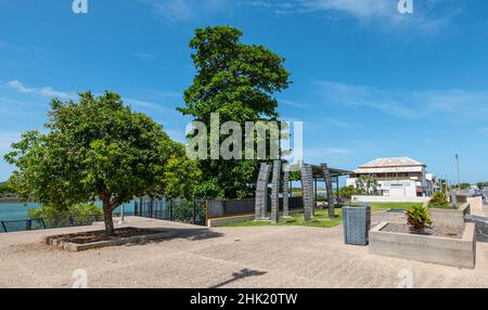 The Leichhardt Tree was used as an anchor for ships by thousands of ...