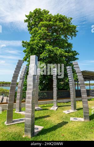 The Leichhardt Tree was used as an anchor for ships by thousands of ...