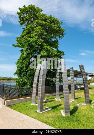 The Leichhardt Tree was used as an anchor for ships by thousands of ...