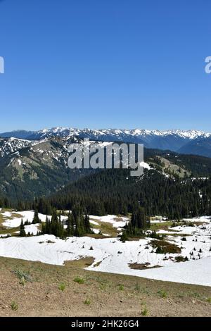 Hurricane Ridge atop Olympic National Park, Washington State, USA Stock ...