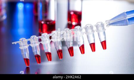 PCR Strip with genetic samples to determine paternity Stock Photo - Alamy