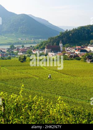 Historic village Spitz located in wine-growing area, UNESCO World ...