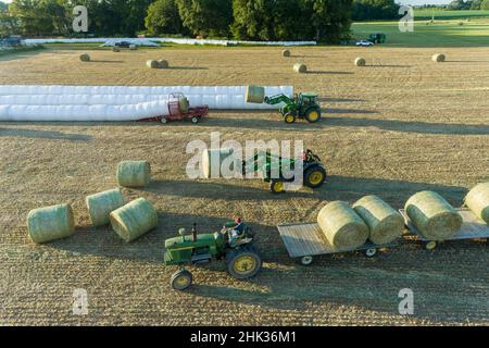 Aerial view of round hay bales Stock Photo - Alamy