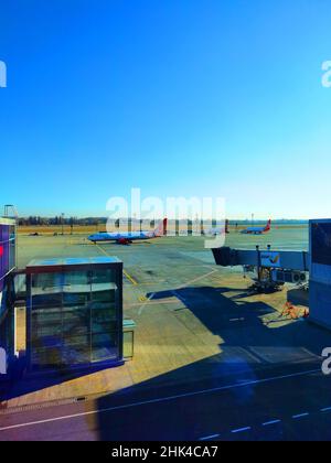 Boryspil, Ukraine - January 31, 2022: Airport panoramic view. Airport ...