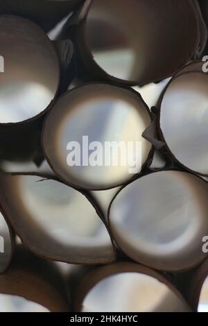 Interesting closeup of toilet paper rolls in blurry bokeh Stock Photo ...