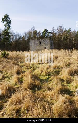 Thetford Warren in The Brecklands, Norfolk, was an isolated semi ...