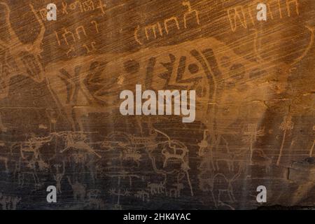 Rock carvings, Unesco site Bir Hima Rock Petroglyphs and Inscriptions ...