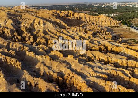 Aerial of the Al Ahsa (Al Hasa) Oasis, UNESCO World Heritage Site ...