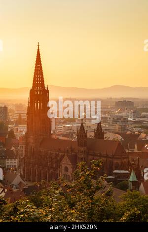 Freiburg Cathedral at sunset, Freiburg, Black Forest, Baden-Wurttemberg, Germany, Europe Stock ...