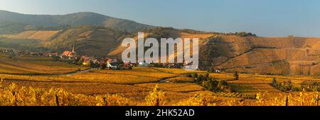 Vineyards, Rodern, Alsace, Alsatian Wine Route, Haut-Rhin, France ...