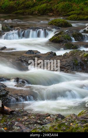 Calapooia River, McKercher Park, Linn County, Oregon Stock Photo - Alamy