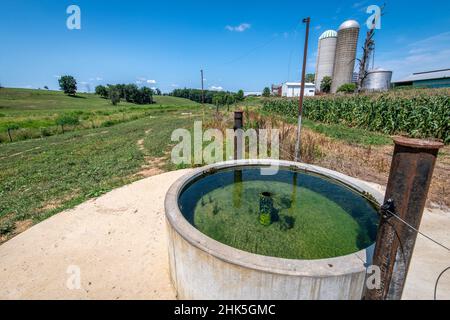 Cattle water trough and heavy use pad Stock Photo - Alamy