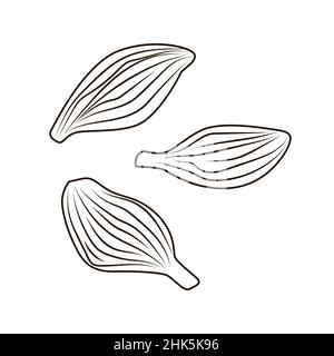 Cardamom icon, outline style Stock Vector Image & Art - Alamy