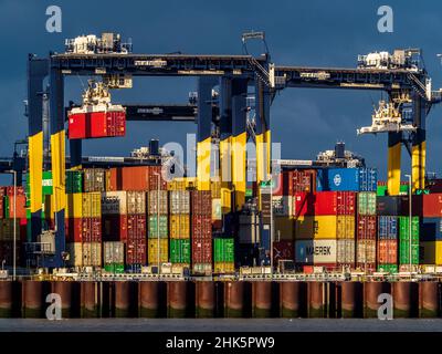 Container Congestion at UK Ports - Stacked shipping containers await ...