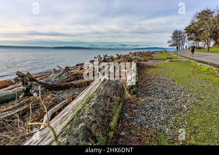 Mountains rise up across the Puget Sound in Washington State Stock ...