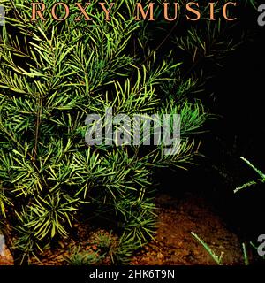 ROXY MUSIC Cover of the 1974 Country Life album Stock Photo - Alamy