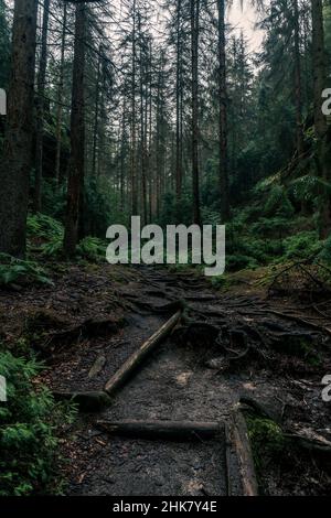 Trails in the Elbe Sandstone Mountains. Saxony Switzerland. Germany ...