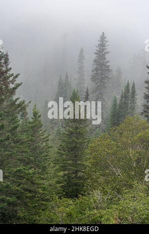 Strong fog on forest hills near Superior Lake, canada Stock Photo - Alamy