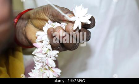 Taken during hand flowering when building flowers. In the dim ...