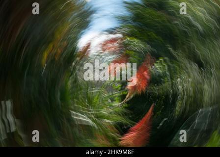 A whirling Maelstrom of color - visual effect Stock Photo - Alamy