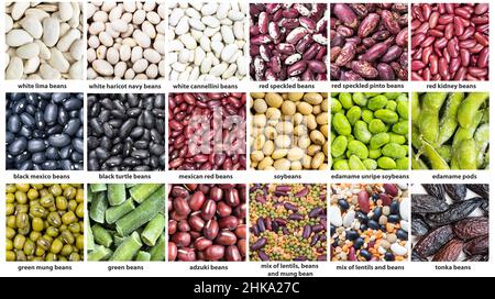 various beans with names close up Stock Photo - Alamy