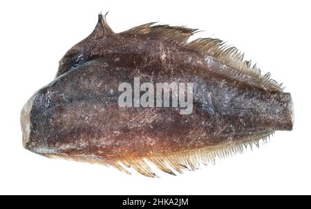 frozen headless halibut fish isolated on white Stock Photo - Alamy