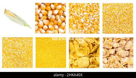 background - various maize corns close up Stock Photo - Alamy
