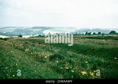 Hod Hill - Iron Age then Roman fort in the Blackmore Vale, Dorset ...